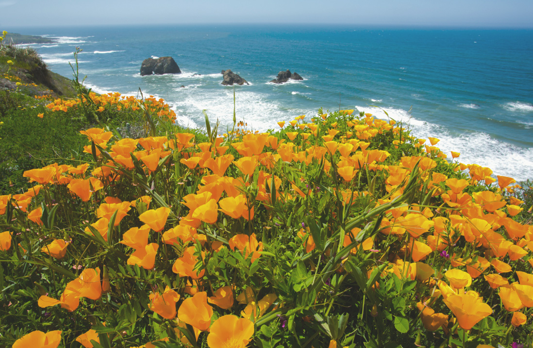 Home - Golden State Wind